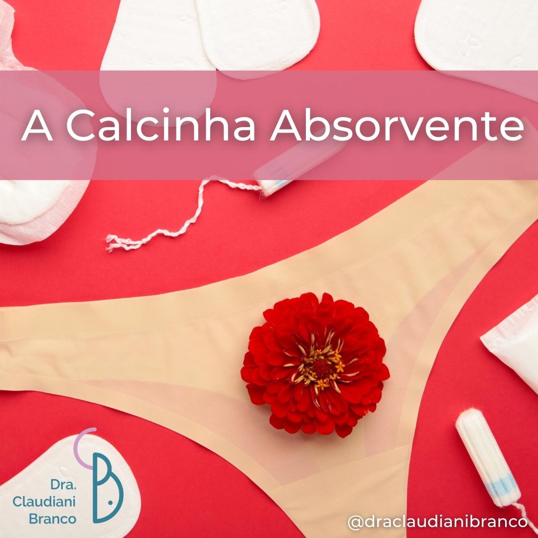 Calcinha absorvente – Dra Claudiani Alves Branco Gregorin